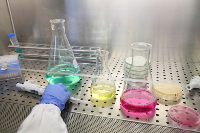 UB-CARE - Sperimentazioni in vitro, analisi, biosafety